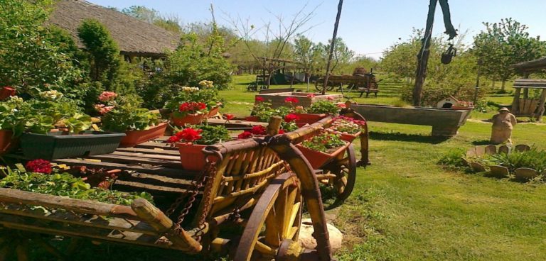 etno-kuca-djeram-dvoriste-02 - Turistička agencija Magelan, Novi Sad